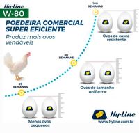 Hy-Line do Brasil - Home